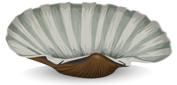 Venus (33) | Stardoll Wiki | Fandom