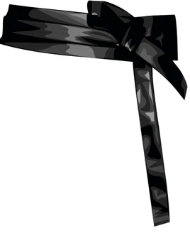 Cordoba Sash Tied Belt | Stardoll Wiki | Fandom