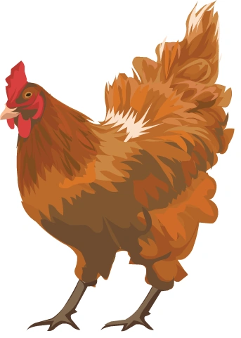 Hen | Stardoll Wiki | Fandom