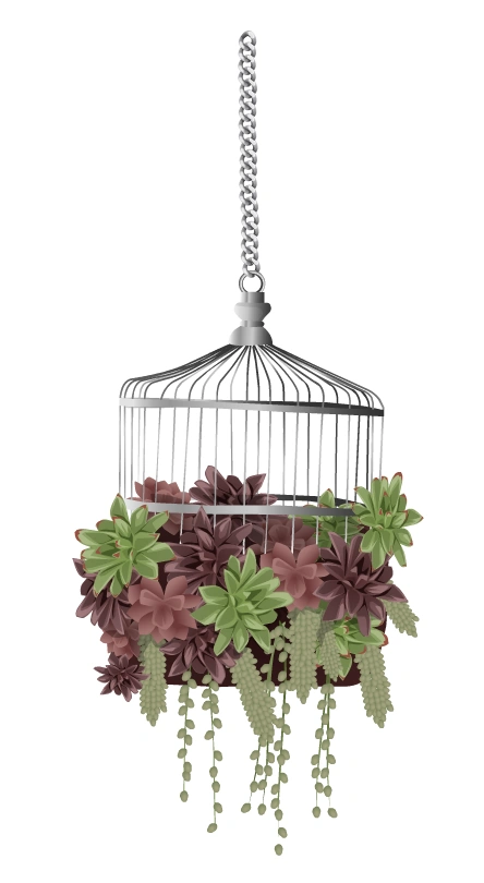 PPQ Caged Flowers | Stardoll Wiki | Fandom