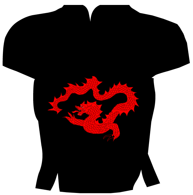 Dragon Top | Stardoll Wiki | Fandom