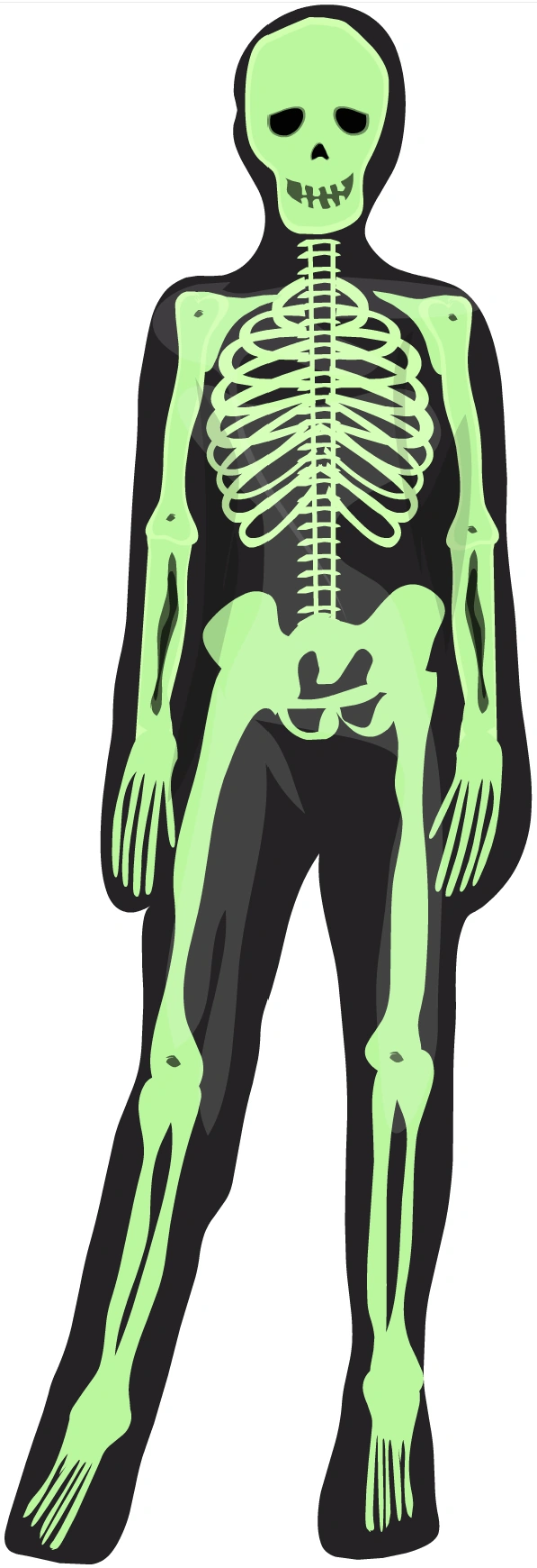 Skeleton dress up | Stardoll Wiki | Fandom