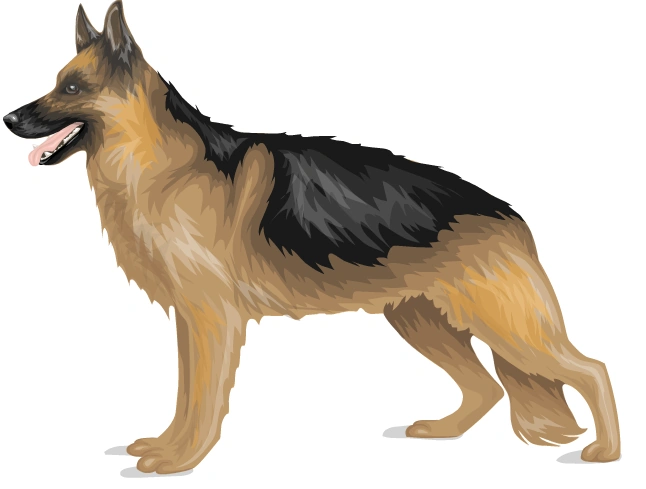 German shepherd Rex | Stardoll Wiki | Fandom
