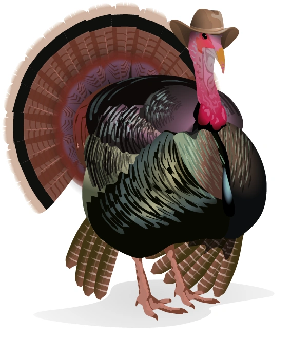 Turkey Tex | Stardoll Wiki | Fandom