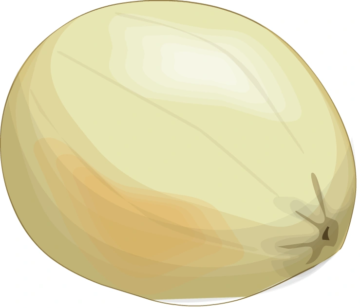 Melon | Stardoll Wiki | Fandom