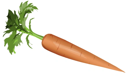 Carrot | Stardoll Wiki | Fandom