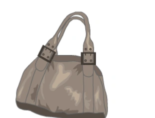 Rio bag | Stardoll Wiki | Fandom