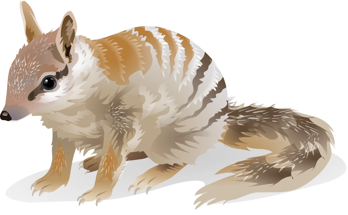 Numbat | Stardoll Wiki | Fandom