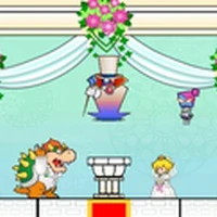 Toadette | Paper Mario Wiki | Fandom