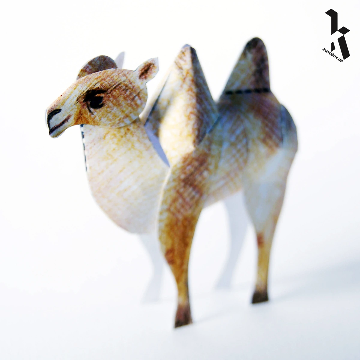 Tiny Paper Zoo | Papertoys Wiki | Fandom