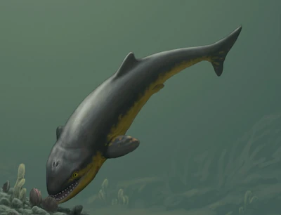 Porol | Paradisean Wiki | Fandom