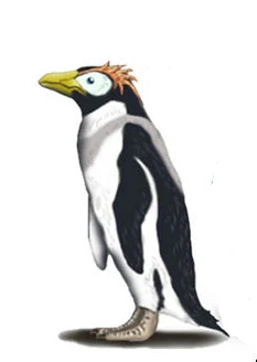 Razorbill Penguin | Paradisean Wiki | Fandom