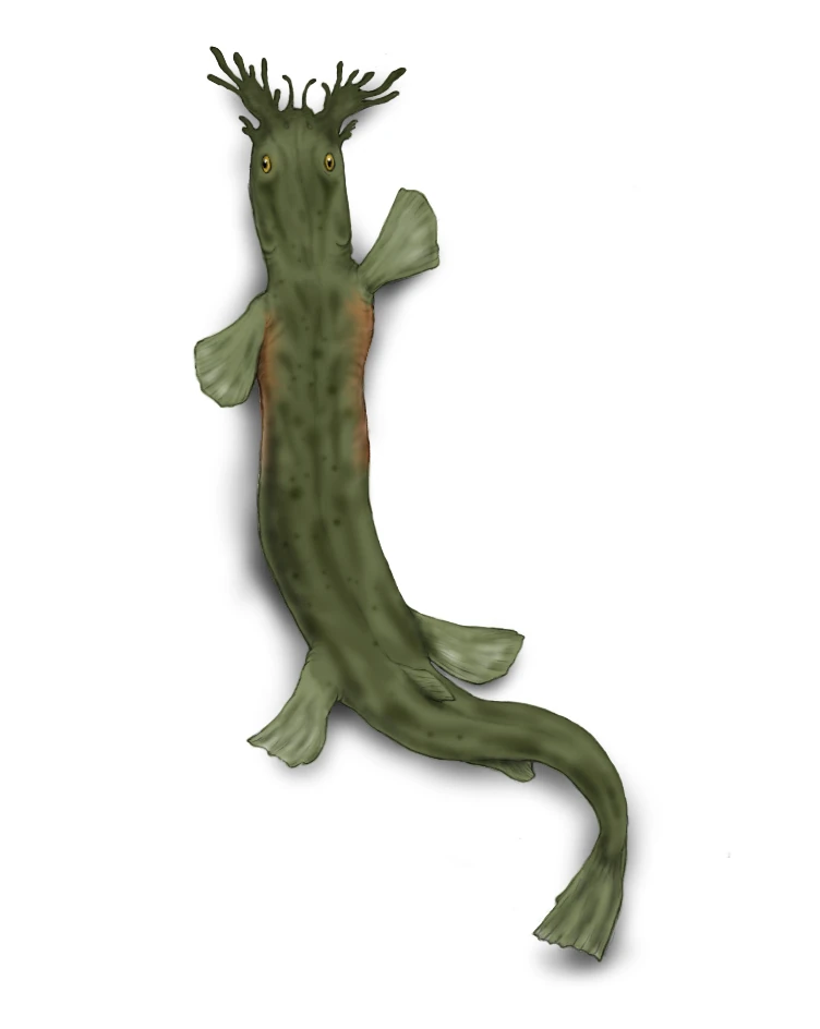 Wattle Fish | Paradisean Wiki | Fandom