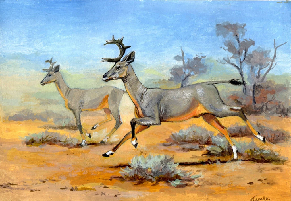Sand Buck | Paradisean Wiki | Fandom