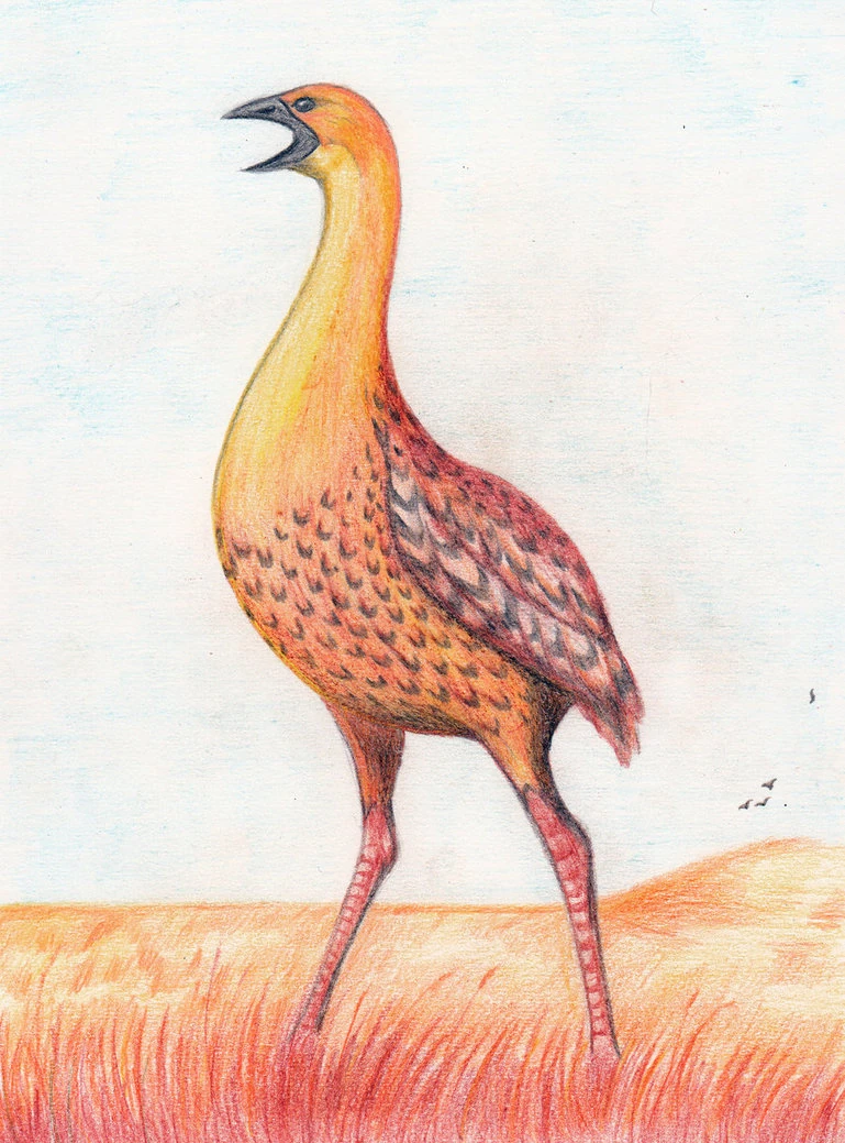 Chatu | Paradisean Wiki | Fandom