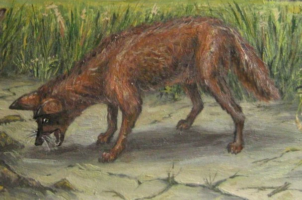 Threnna Fox | Paradisean Wiki | Fandom