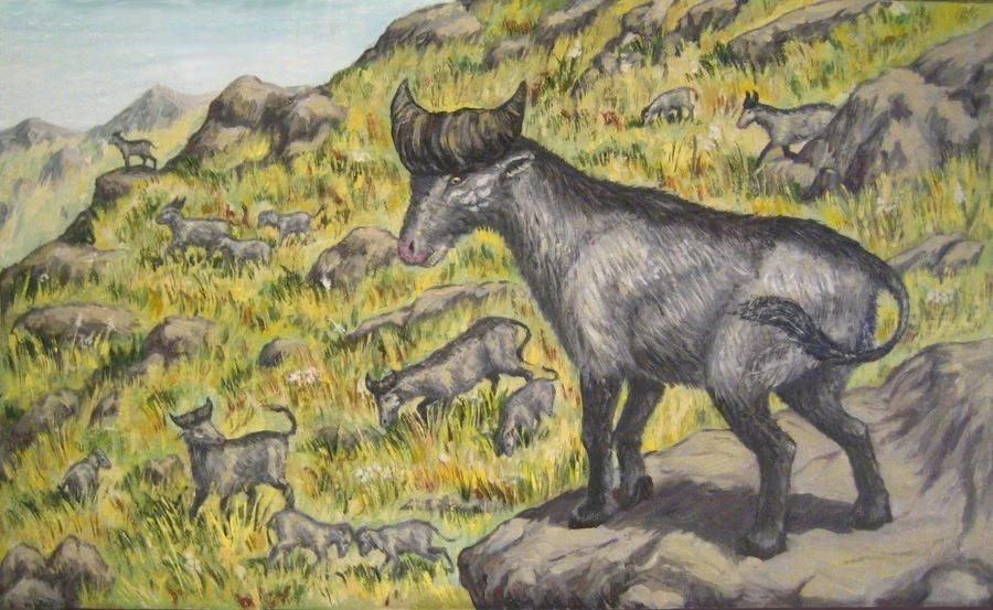 Mountain Taur | Paradisean Wiki | Fandom