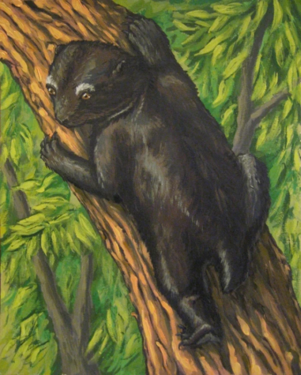 Birau | Paradisean Wiki | Fandom