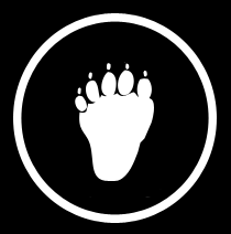 Drask | ParagonRP Wiki | Fandom