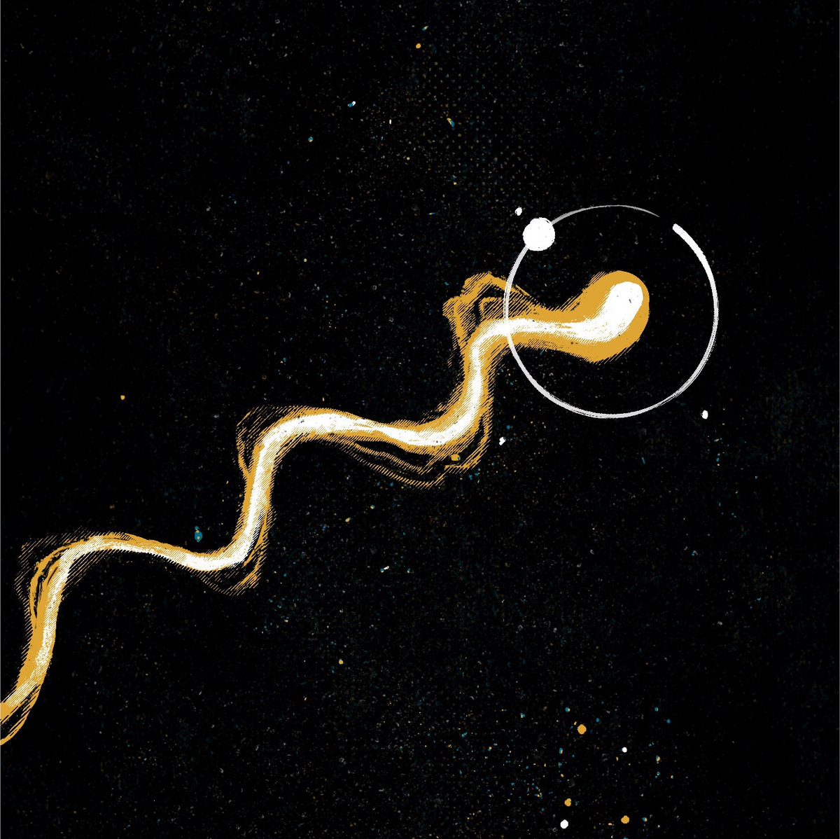Entity Worm Wiki Fandom