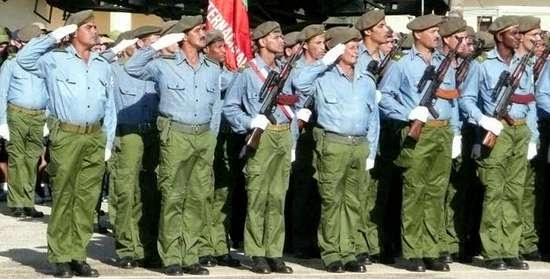 Territorial Troops Militia | Paramilitaries Wiki | Fandom