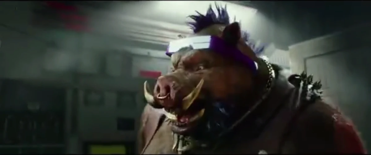 Bebop | Paramount Teenage Mutant Ninja Turtles Wikia | Fandom