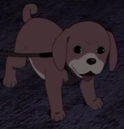 Maromi | Paranoia Agent Wiki | Fandom