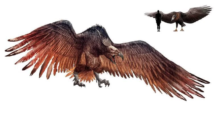 Ameca Giant Bird | Paranormal Strange Wiki | Fandom