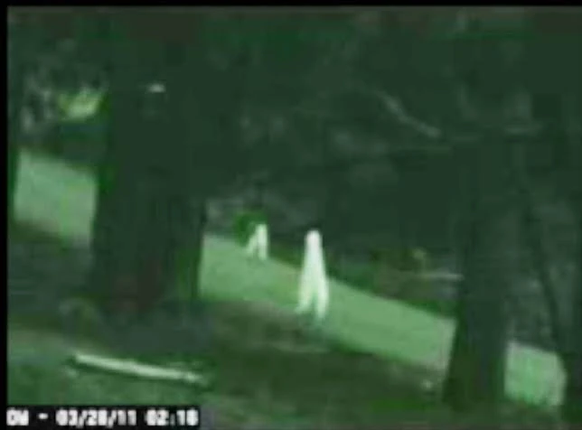 Fresno Nightcrawler | Paranormal Strange Wiki | Fandom