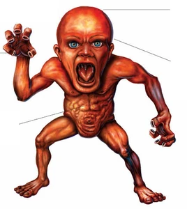 Yara-Ma-Yha-Who | Paranormal Strange Wiki | Fandom