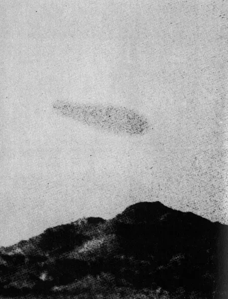 Gargantuan Gliders | Paranormal Strange Wiki | Fandom