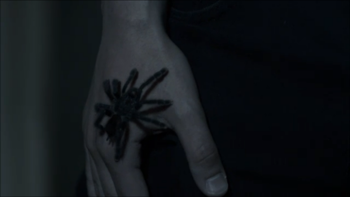 Tarantulas Paranormal Witness Wiki Fandom
