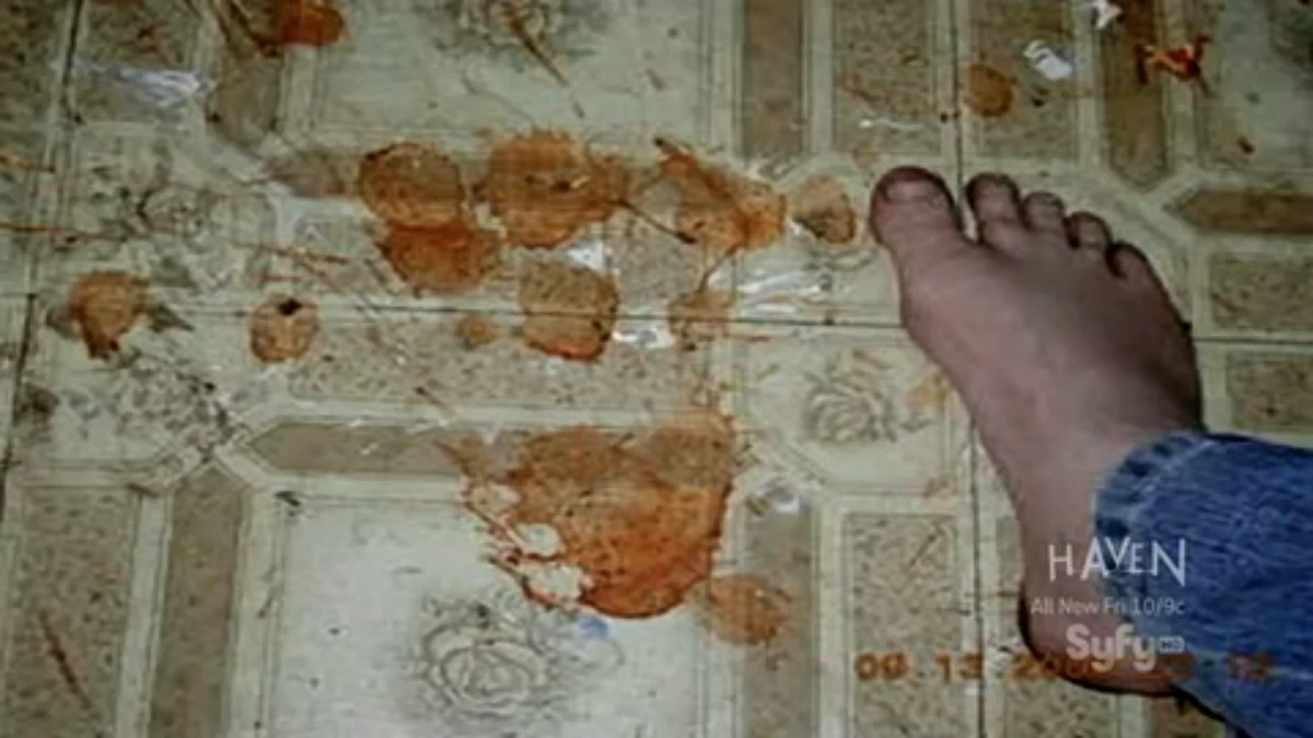 The Poltergeist | Paranormal Witness Wiki | Fandom