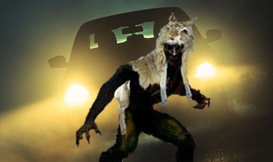 Skinwalker Hit-and-Run | Paranormal World Wiki | Fandom