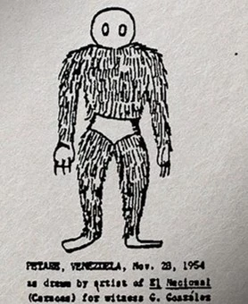 Caracas Incident: The Littlefoot in Venezuela | Paranormal World Wiki ...
