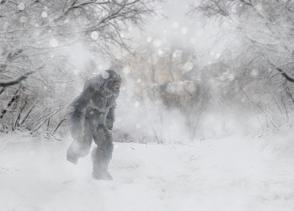 Yeti | Paranormal Wiki | Fandom