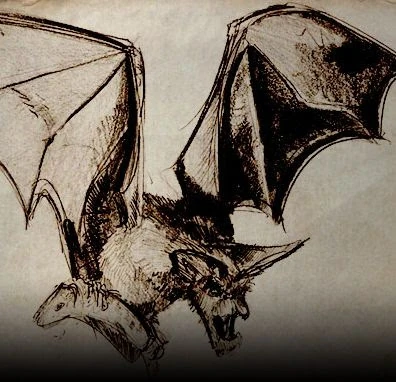 Ahool | ParanormalFact Wiki | Fandom