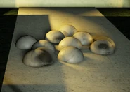 Salt | Paranormica Roblox Wiki | Fandom