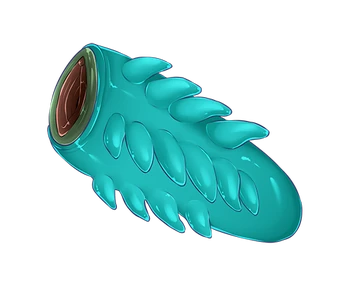 Canal Werm | Parasite Infection Wiki | Fandom