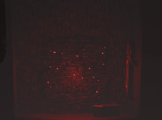 Weak wall | Parasite (Roblox) Wiki | Fandom