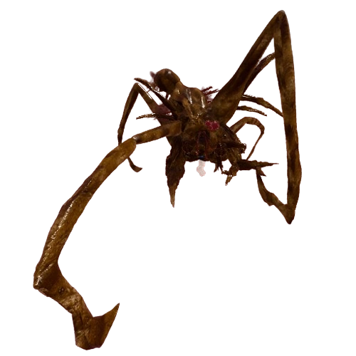 Reek(Phase 4A) | Parasite (Roblox) Wiki | Fandom