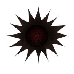 Feeshe feeshy feesh feesh feeshems get over here | Fandom