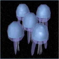 Medusa Swarmlings | Pardusian Database | Fandom