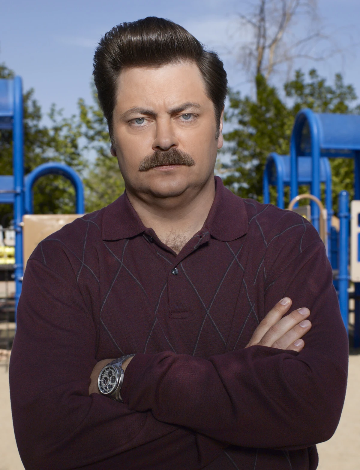 Ron Swanson | Parks and Recreation Wiki | Fandom
