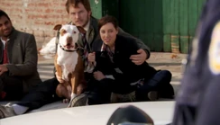 April Ludgate/Gallery | Parks and Recreation Wiki | Fandom