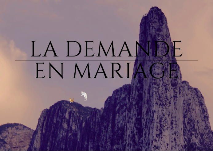La Demande En Mariage Wiki Parodies Histoire Et Contes Lgdc Fandom