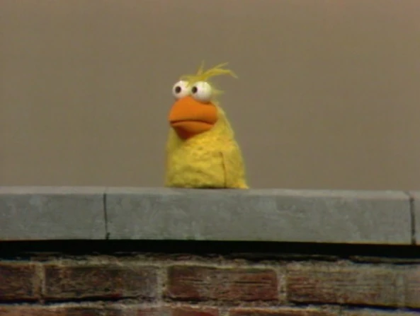 Crossover Street News Flash: Bird Family | Parodies Wikia | Fandom