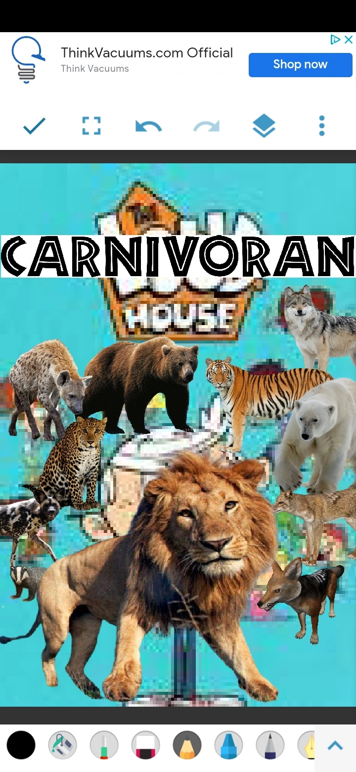 The Carnivoran House | The Parody Wiki | Fandom