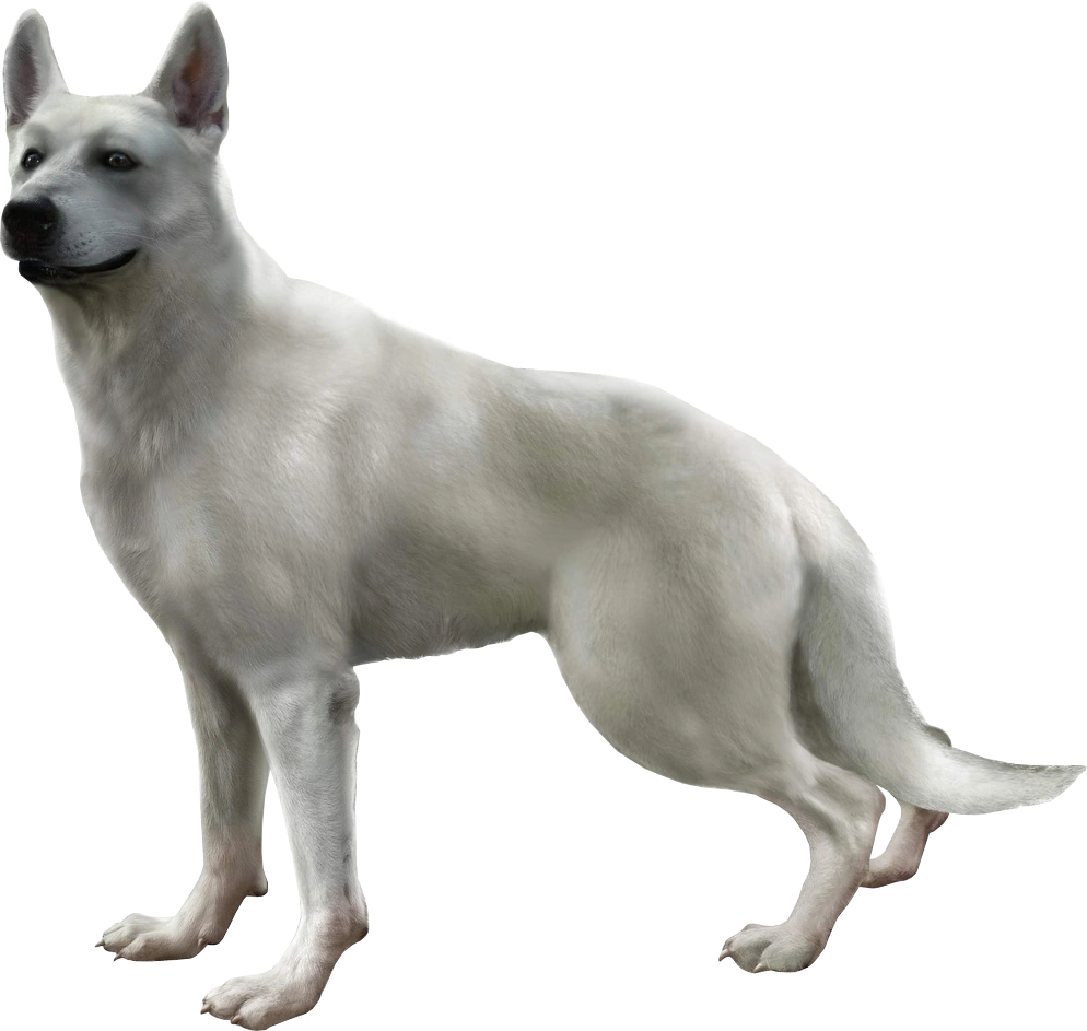 Hewie | The Parody Wiki | Fandom