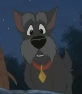 Jock | The Parody Wiki | Fandom